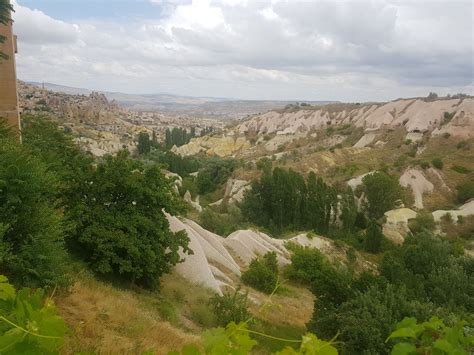 Зургийн цомог