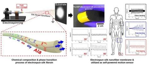 전북대 정창규 교수팀 누에고치실 이용한 동작 센서 제작 ‘주목 파이낸셜뉴스