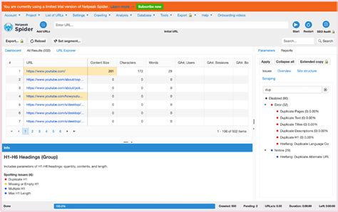 how to test your website for seo with maximum efficiency using netpeak