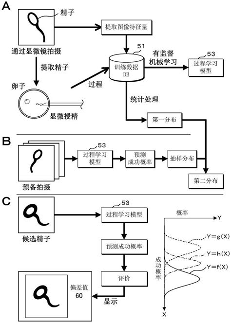 Program Learning Model Information Processing Device Information
