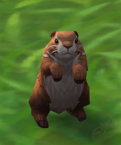 Grass Gopher Npc World Of Warcraft