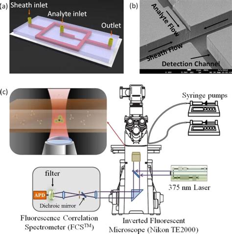 Microfluidic Three Dimensional Hydrodynamic Flow Focusing For The Rapid Protein Concentration