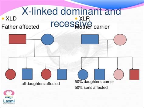 Xlinked Dominant Or Recessive Inheritance By Openstax