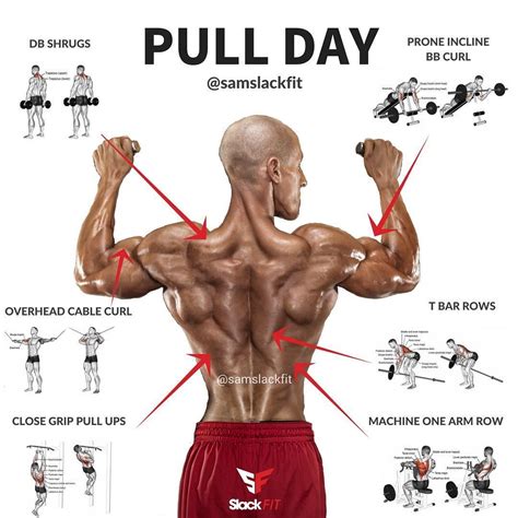 What Muscles Does A Pull Up Workout Rectangle Circle Vrogue Co