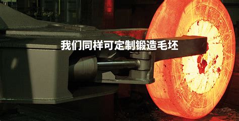 锻造毛坯定制浩龙机械