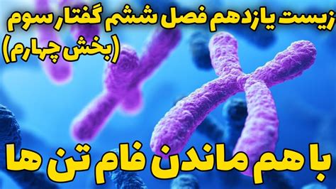 با هم ماندن فام تن ها زیست یازدهم فصل ششم گفتار سوم بخش چهارم Youtube