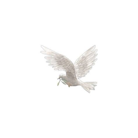 Bird Tubes For Art Projects Rip Birds Dove With Leaf In Mouth White