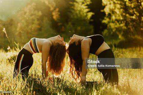 화창한 여름 날에 자연에서 요가를 하 고 긴 머리를 가진 두 아름 다운 여자 2명에 대한 스톡 사진 및 기타 이미지 2명 가냘픈 갈색 머리 Istock