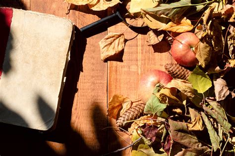 학교 개념 돌아가기 오래 된 빈티지 책 그리고 단풍 나무 배경 위에 애플 상위 뷰 9월에 대한 스톡 사진 및 기타 이미지 9월 가을 건강한 식생활 Istock