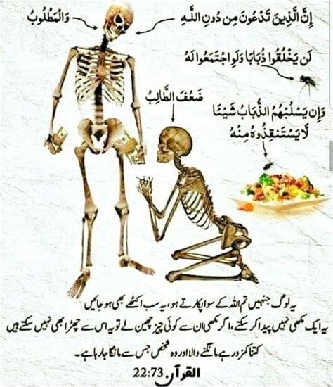 Pin Di ᕼᏗᖇᖇiᔕ෴ӄ 🍁 چند الفاظ 🍁 Su Al Quranالقرآن