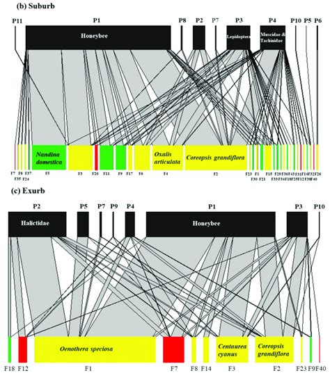 Visualization Of The Pollination Networks Of A City Core B Suburb Download Scientific