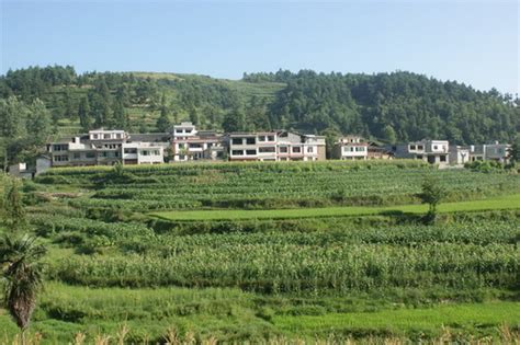 岩腊苗族布依族乡图册 360百科