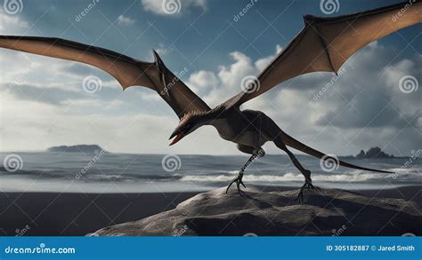 It Was A Mighty Fine Bird That Pteranodon Pterodactyl It Was As Big