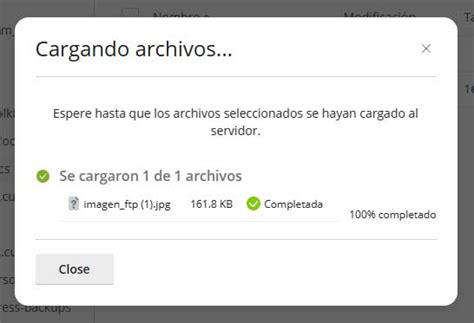Subir Archivos Al Hosting Desde PleskPasos