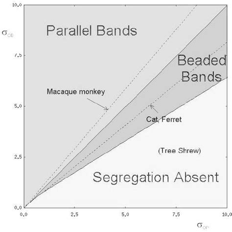 Figure 1 From Different Ocular Dominance Map Formation Influenced By