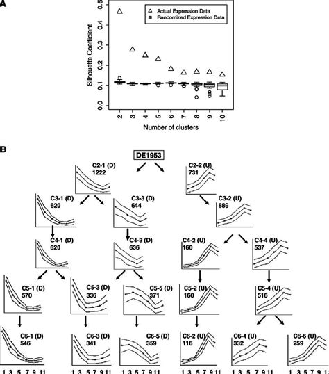 Cluster Analysis A Comparison Of Silhouette Coefficients Sc Between Download Scientific