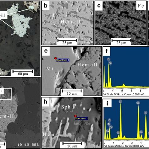 Scanning Electron Photomicrographs And Semi Quantitative Chemical Maps Download Scientific
