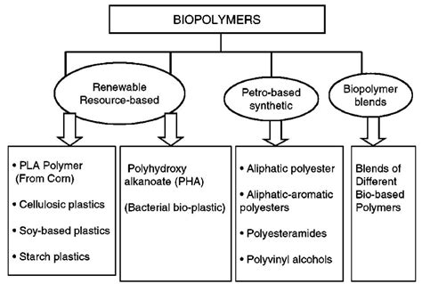 Classification Of Biopolymers Biodegradable Polymers Need
