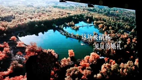 阿拉善盟2023年“遇见醉美金秋”文化旅游系列活动在京发布西部决策网国家一类新闻网站
