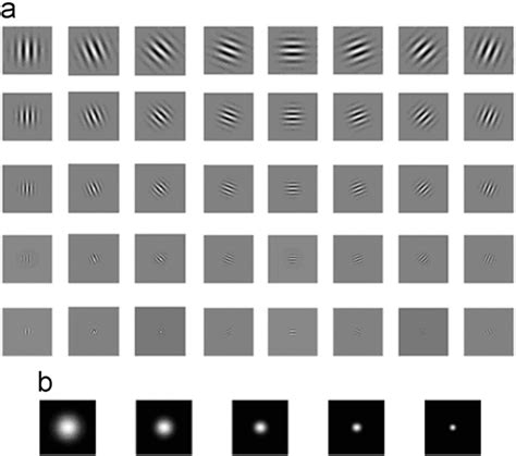 figure 1 from gabor feature based face recognition using supervised locality preserving