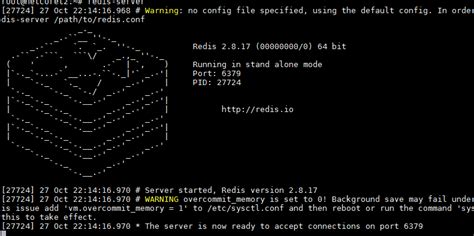 Deploy Servicesstack Net Core In Nginx Net Core Servicestack Customer Forums