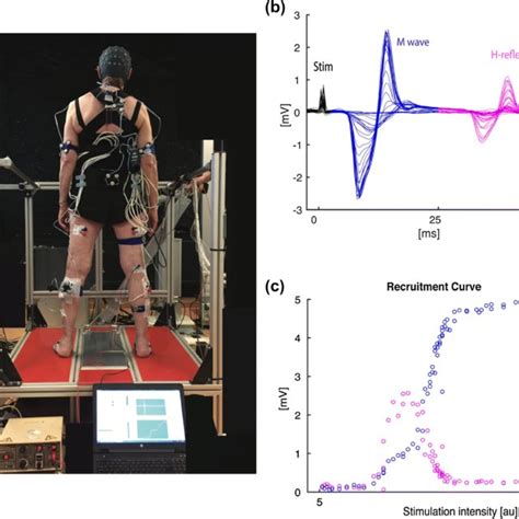 A Kinematic Model Used To Assess Balance Performance During The