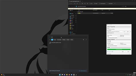 How Come The Windows Search Bar Doesnt Find Anything Even If It Is