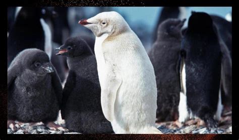 Data Preprocessing In Machine Learning