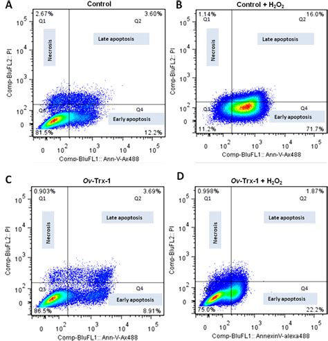 Figure 1 From Apoptosis Of Cholangiocytes Modulated By Thioredoxin Of Carcinogenic Liver Fluke