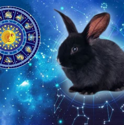Изненадите в годината на Заека 2023 г за различните зодии Нови възможности за Овен здраве за