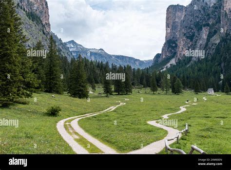 Discover The Beauty Of Multiple Paths Winding Through The Nature Park