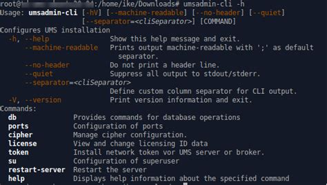 Igel Ums Administrator Command Line Interface