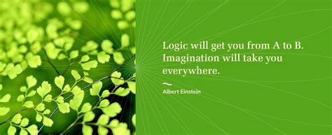 False Dichotomy Logic Vs Imagination