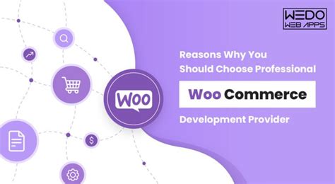 Why You Should Choose A Professional Woocommerce Development Provider