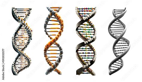 Set Of Dna Genome Structure Isolated On White Background Generative Ai Stock Illustration
