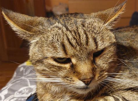 Андрій Шевців Важливо аби працівники правоохоронних органів могли повноцінно виконувати свою