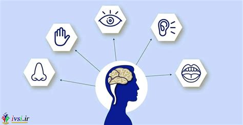 26 نمونه از داده های کیفی با تعریف و انواع آی‌وی‌اس‌آی