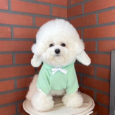 Badu Bg Сладки качулки със заешки уши Зимни поларени дрехи за домашни кучета Суитшърт с качулка