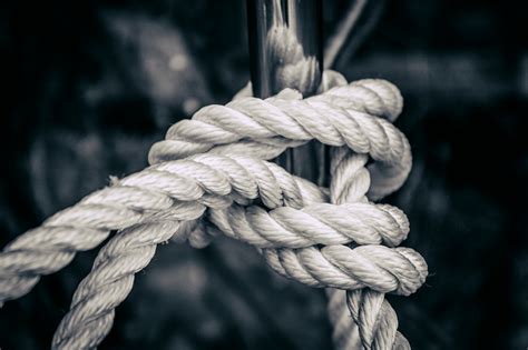 Sex And Tech The Sexual Revolution By Lesli Ann Lewis Model View Culture