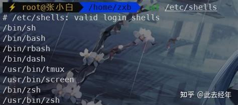 Ubuntu下安装ZSH 知乎