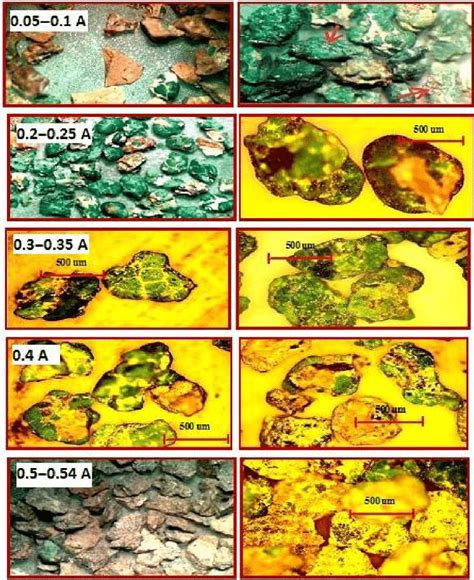 Binocular Photos Show The Separated Siderite With Green Glauconite