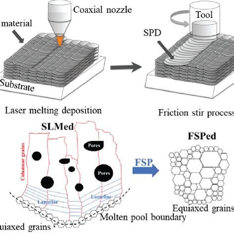 Schematic Illustration Of The A Slm Deposited Layer B Fsp Of Slm Download Scientific