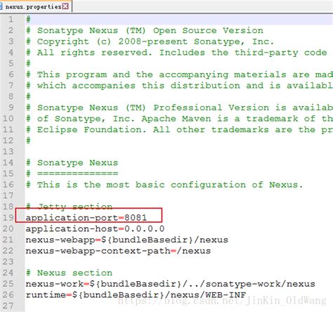 启动nexus出现报错nexus Repository Manager 一直loading Appjs Csdn博客