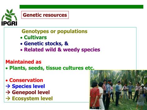 Ppt In Situ Conservation Of Forest Genetic Resources Principles And Practices Ramanatha Rao