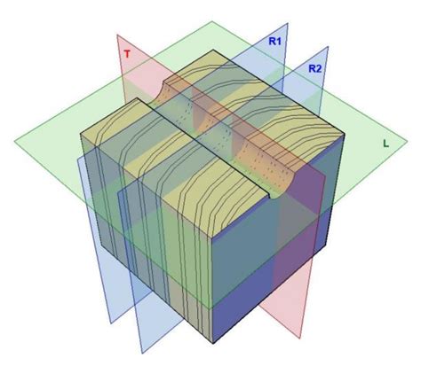 Semi Destructive And Non Destructive Tests Of Timber Structure Of Various Moisture Contents