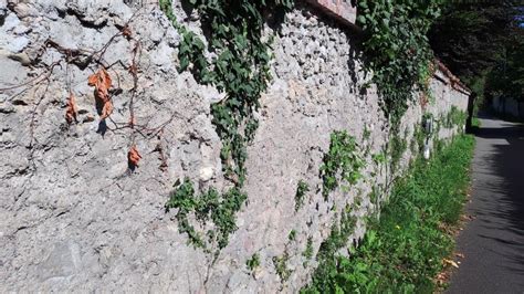 Bicycle Ride In Colorful Summer Pov Pedestrian In Lombardy Italy Stock Video Video Of Ride