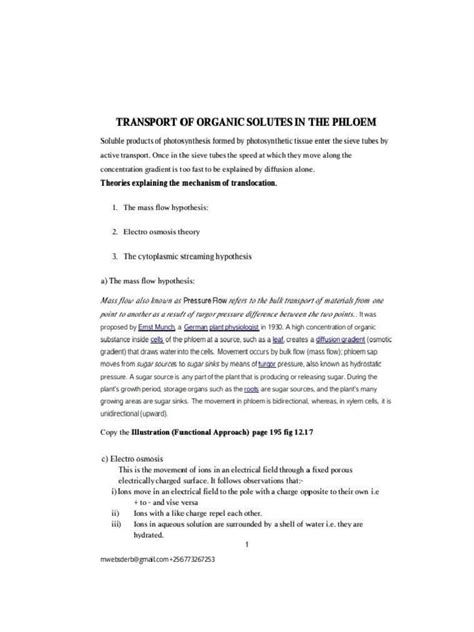 Translocation In Phloem Pdf