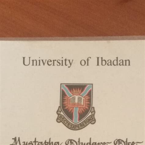 Oke Oludare Research Fellow Nigerian Institute Of Social And