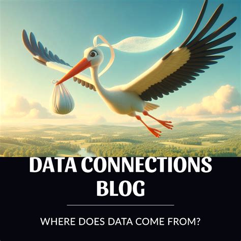 Data Connections Blog 5 Mommy Where Does Data Come From Mortinger Law