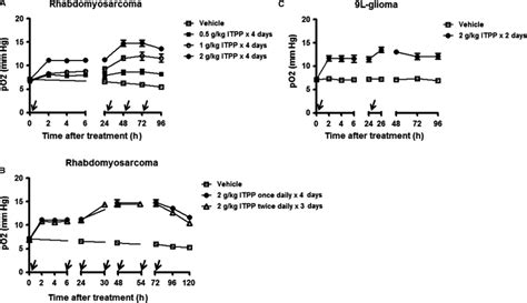 Optimization Of ITPP Treatment Schedule A Various Doses Of ITPP From Download Scientific
